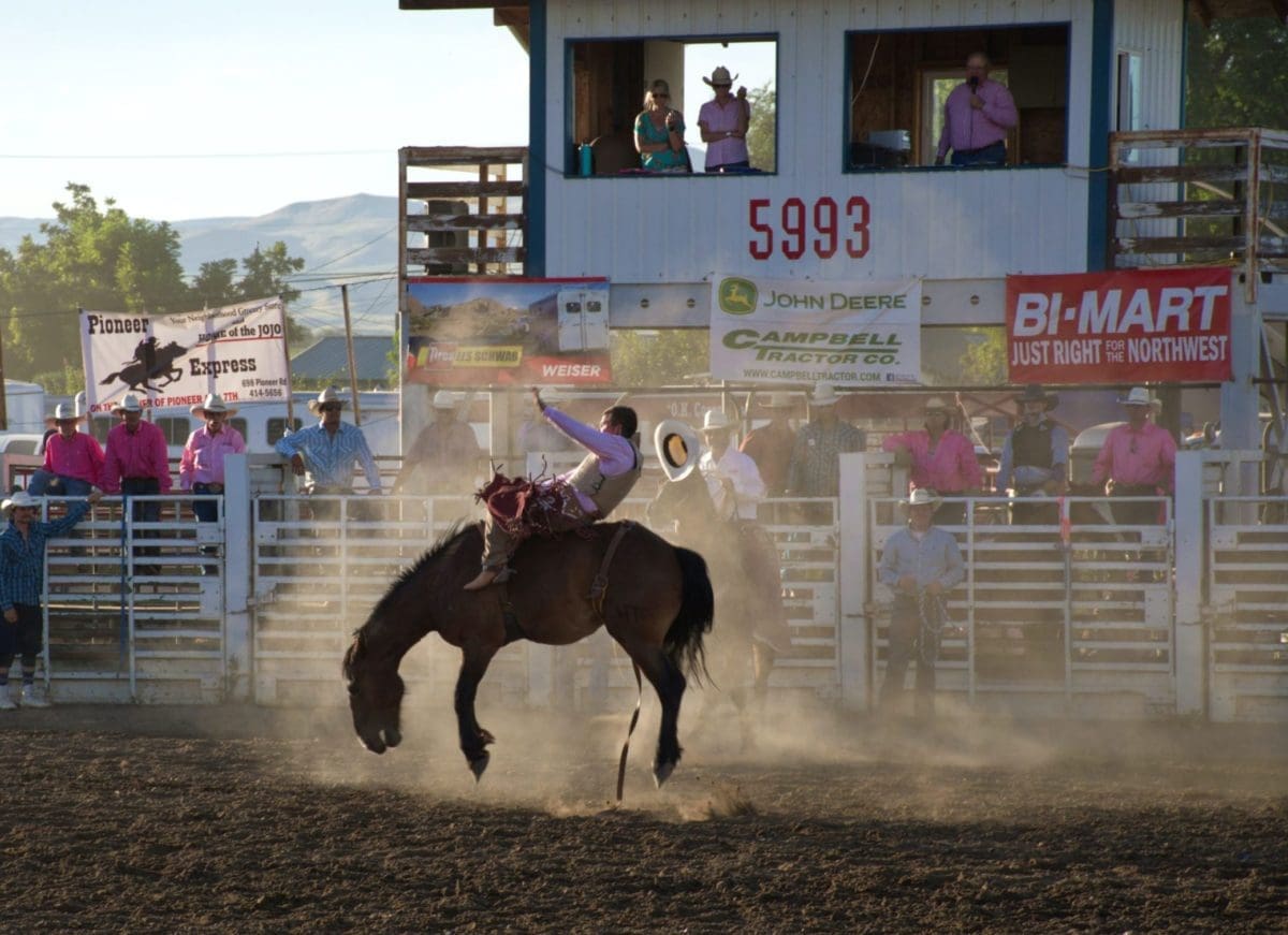 Is rodeo inhumane? The truth about rodeo - Vancouver Humane Society