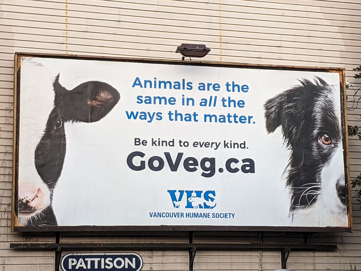 Check out our new Go Veg Ads! - Vancouver Humane Society