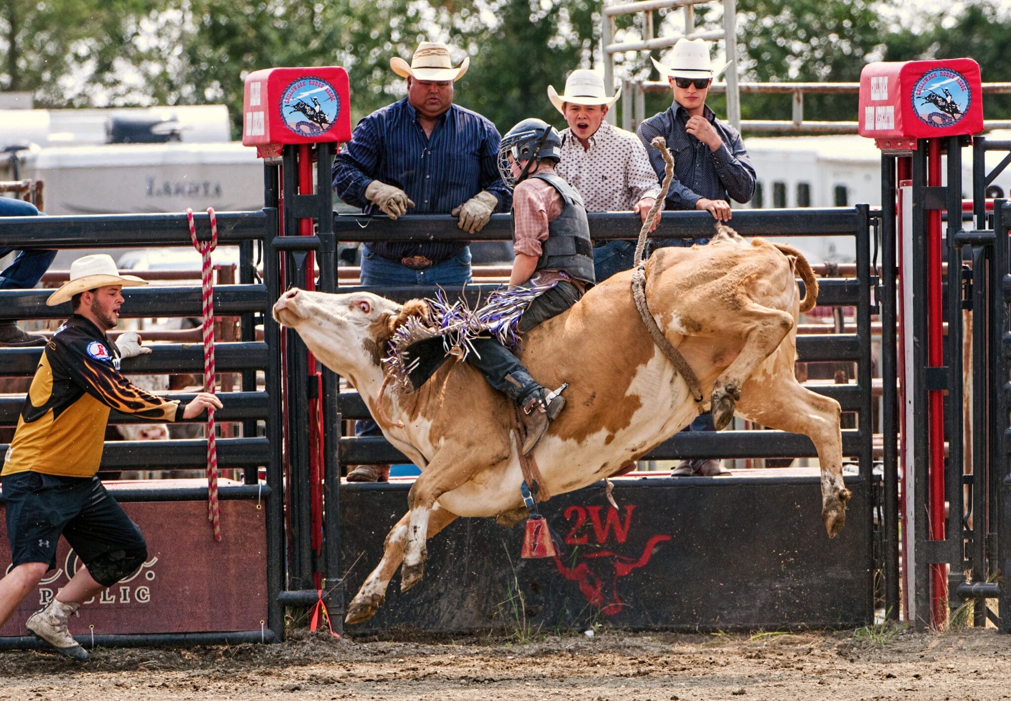The truth about bull-riding - Vancouver Humane Society