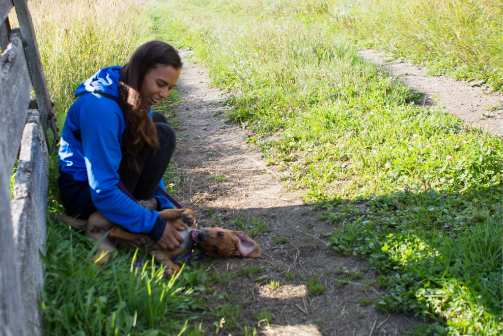 New Microgrant Program for animal service organizations - Vancouver ...