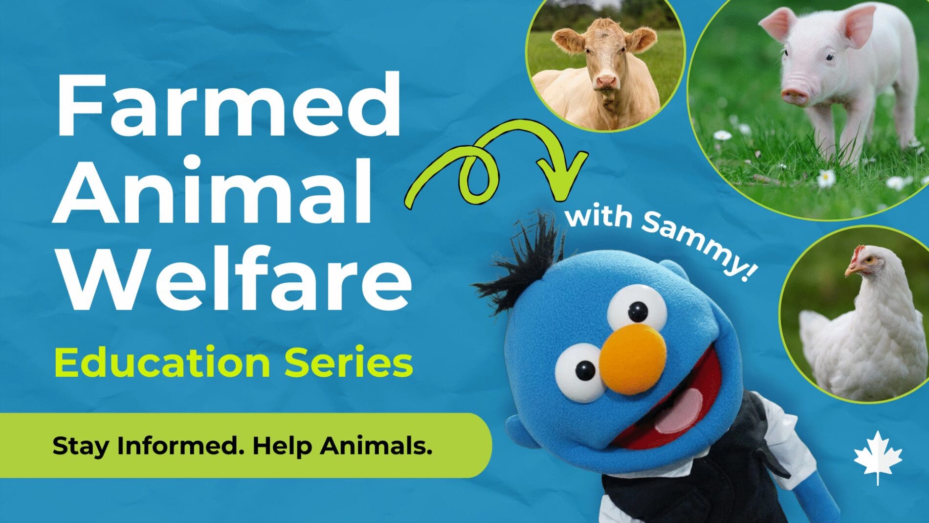 Farmed animal welfare education series - Vancouver Humane Society